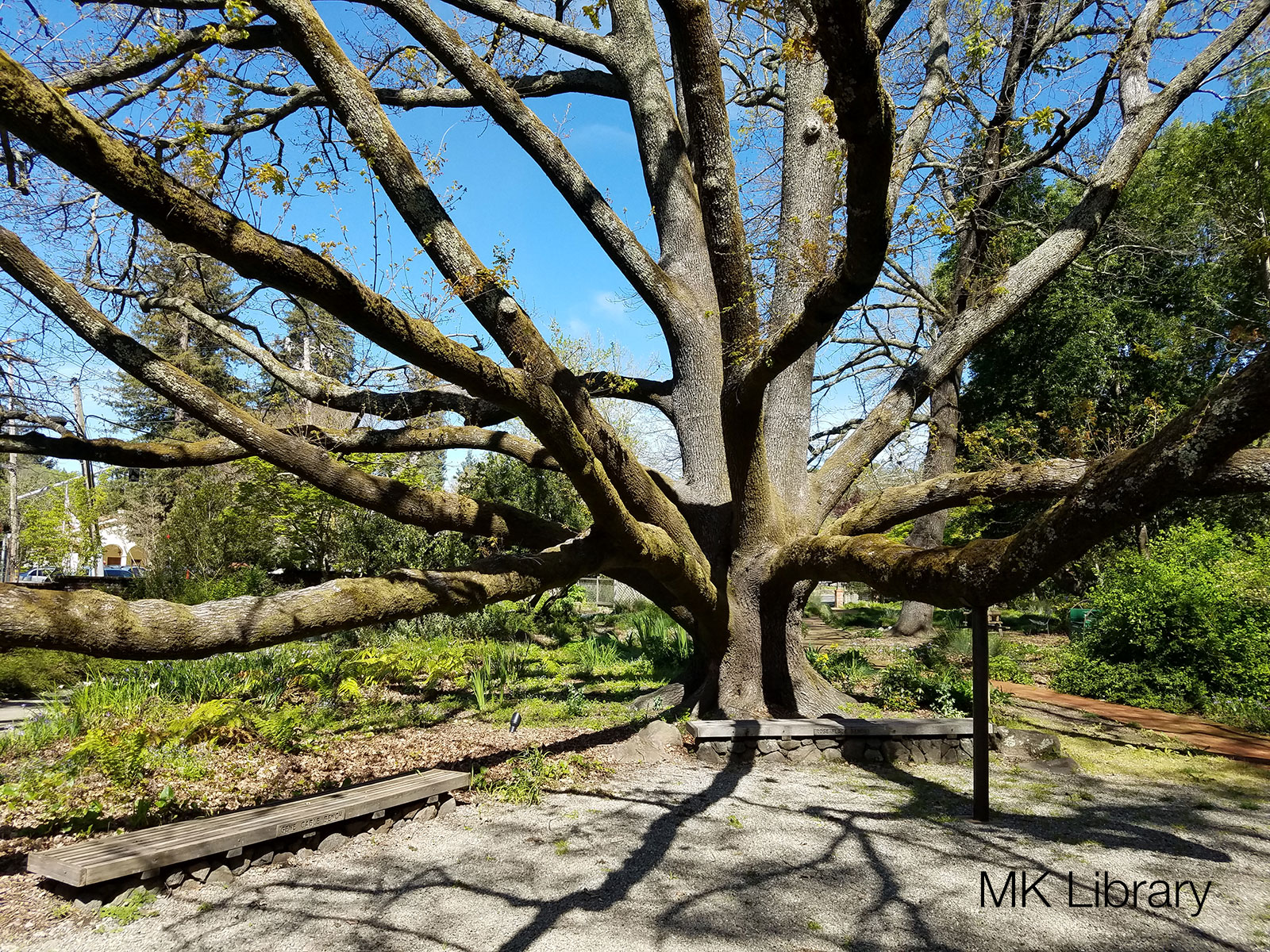 Marin Headlands Day Trip Adventure – MK Library