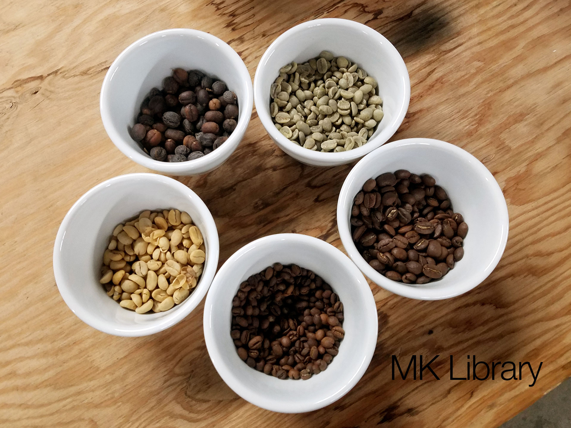 Understanding Coffee Processing And Sourcing – MK Library