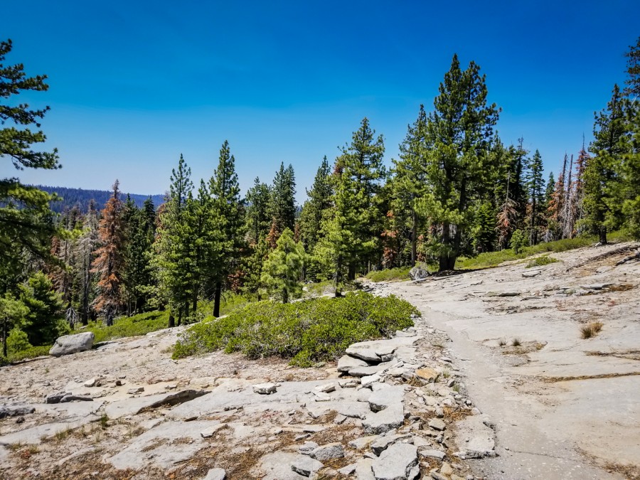Ostrander Lake In Yosemite National Park – MK Library