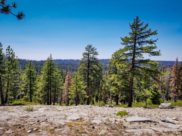 Ostrander Lake In Yosemite National Park – MK Library