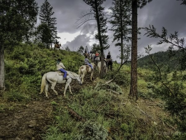 Things To Do In Ruidoso, New Mexico – MK Library