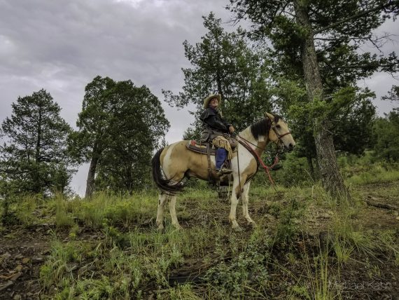Things To Do In Ruidoso, New Mexico – MK Library