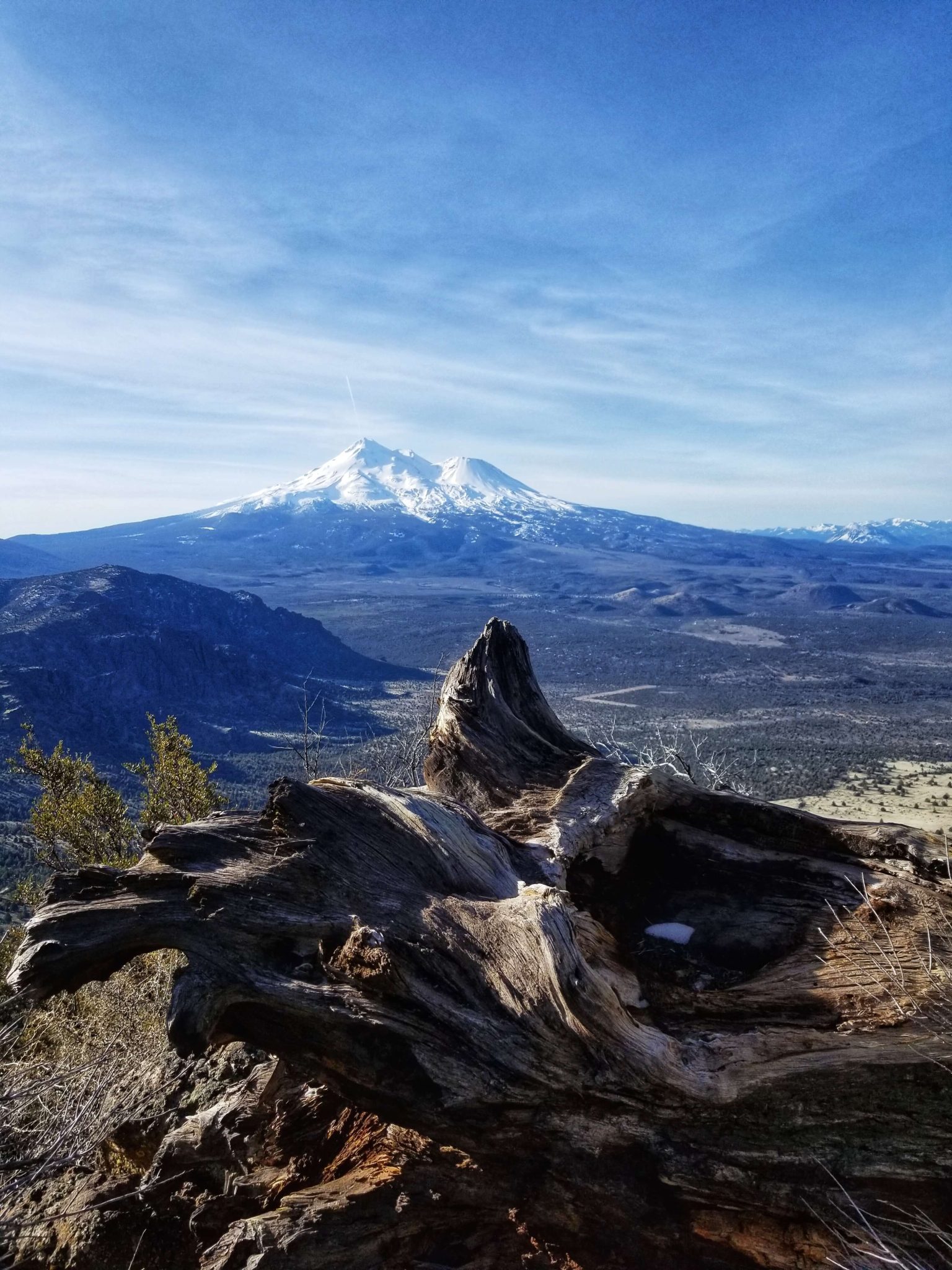 Mount Shasta To Crater Lake - Spring Road Trip – MK Library
