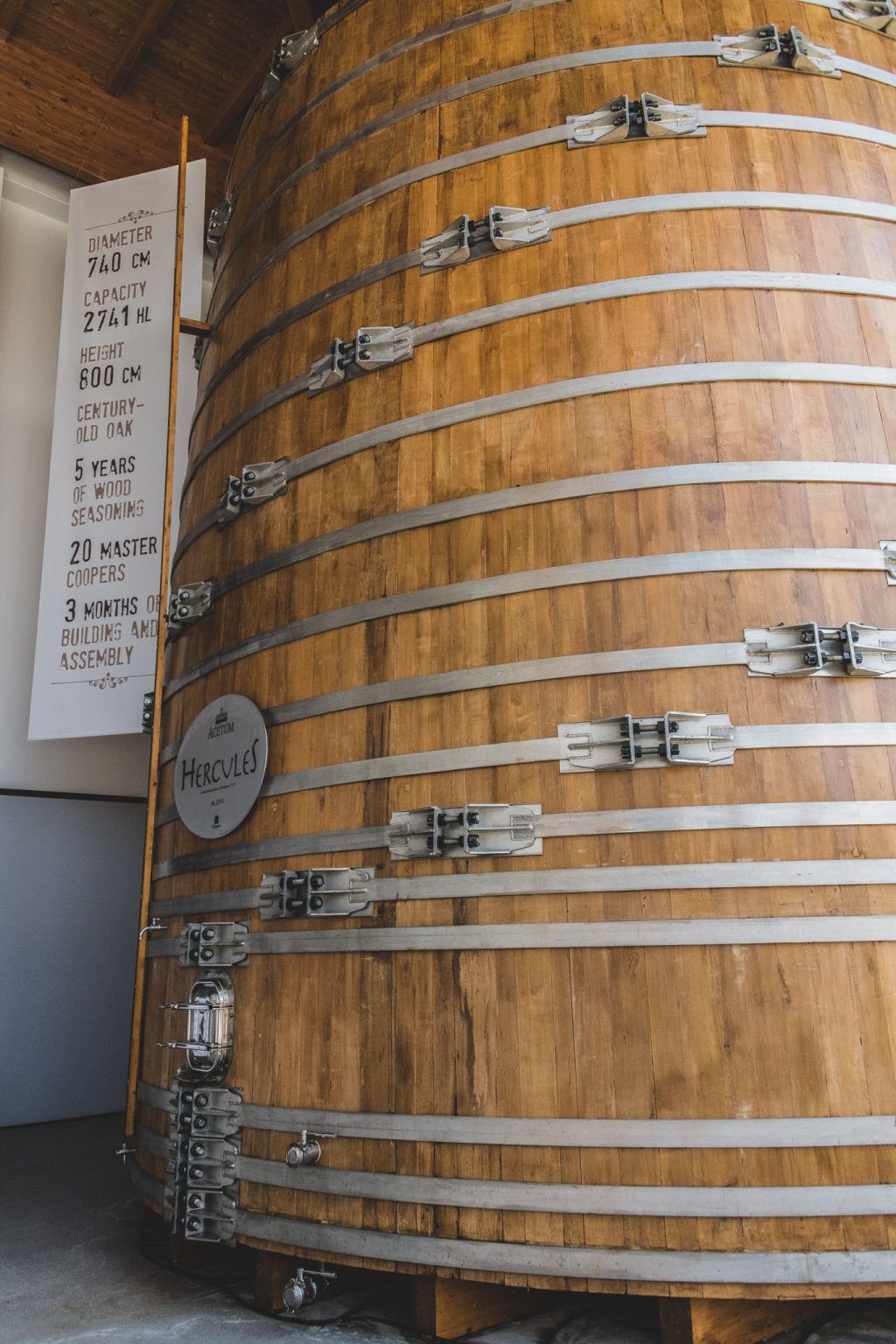 Exploring Balsamic Vinegar Of Modena – MK Library