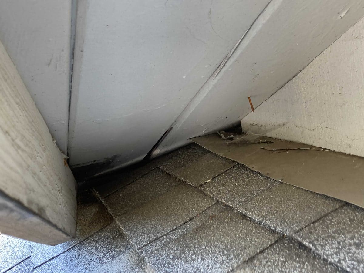 Rodent Exclusion – MK Library