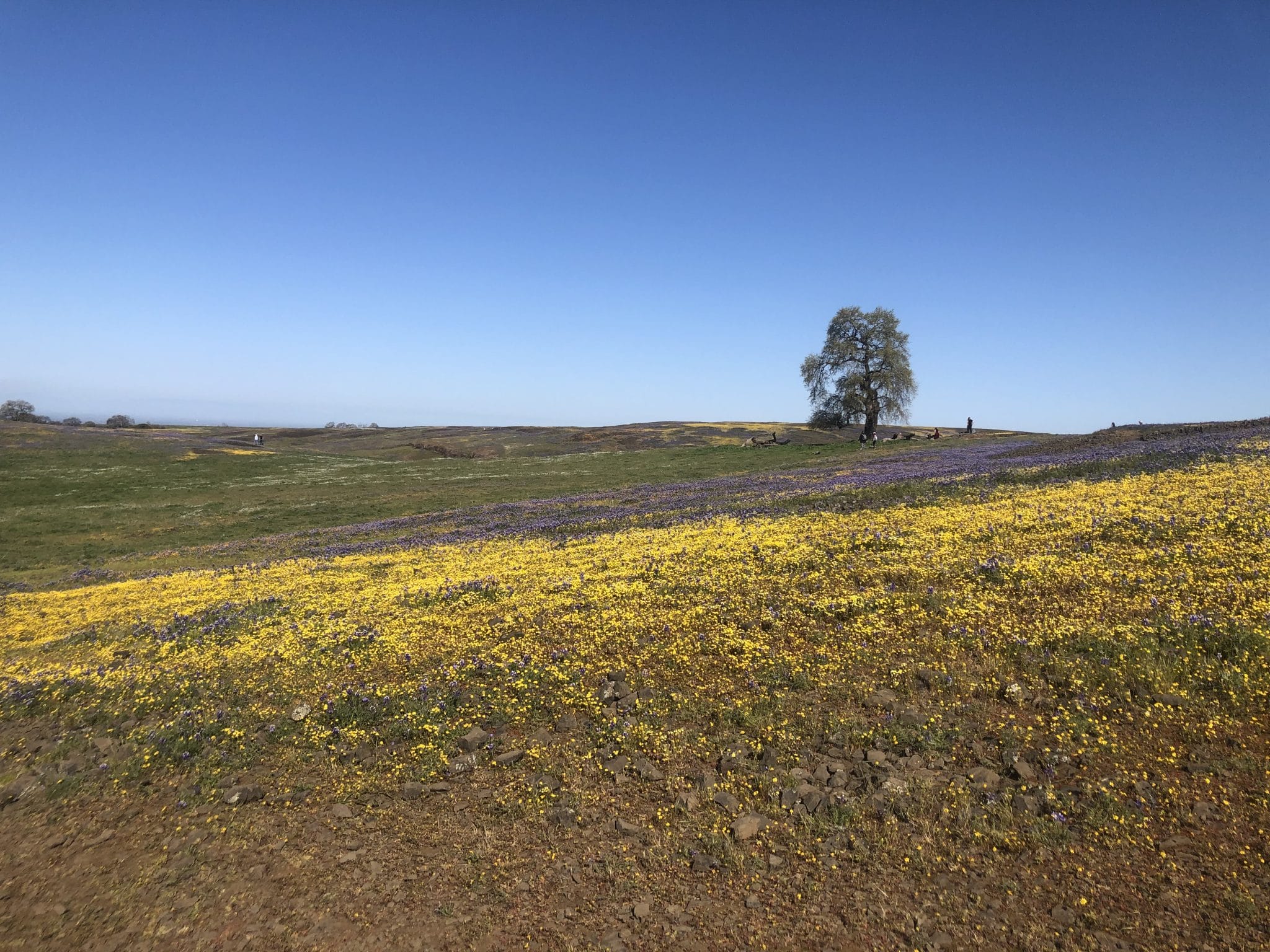 North Table Mountain Ecological Reserve – MK Library