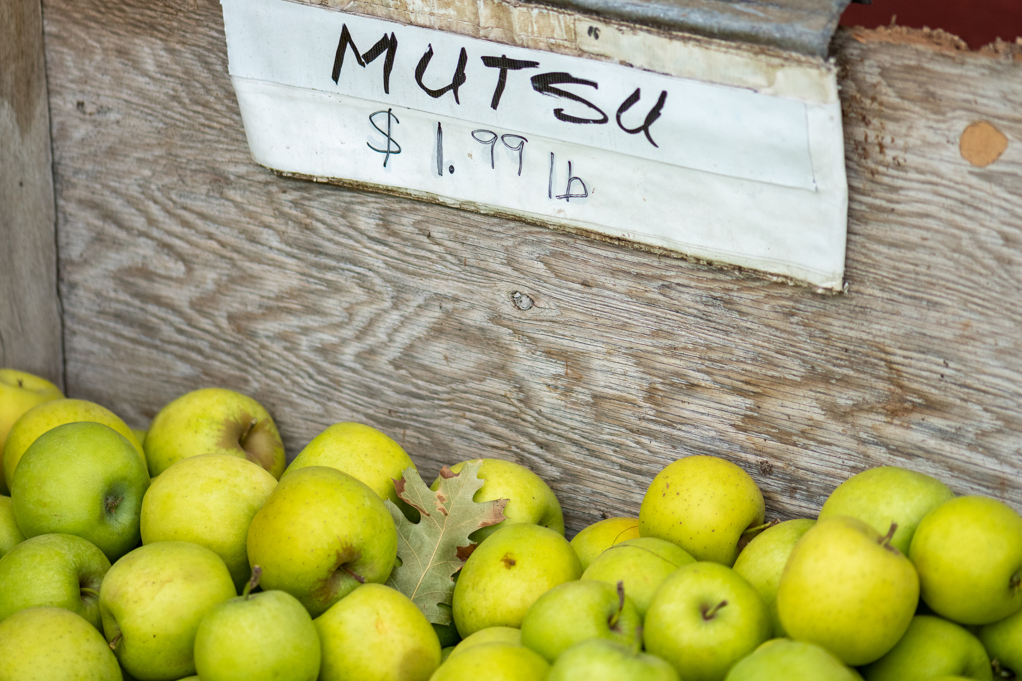The Apples Of Apple Hill, California – MK Library