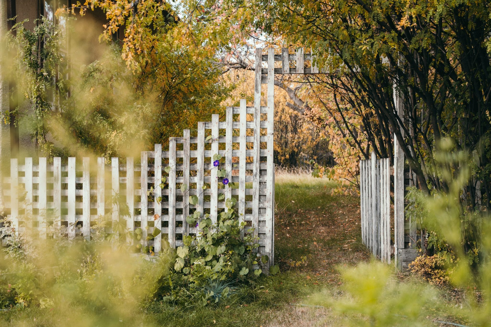 In Need Of A High-Quality Fence? Here's How To Find The Right Solution ...