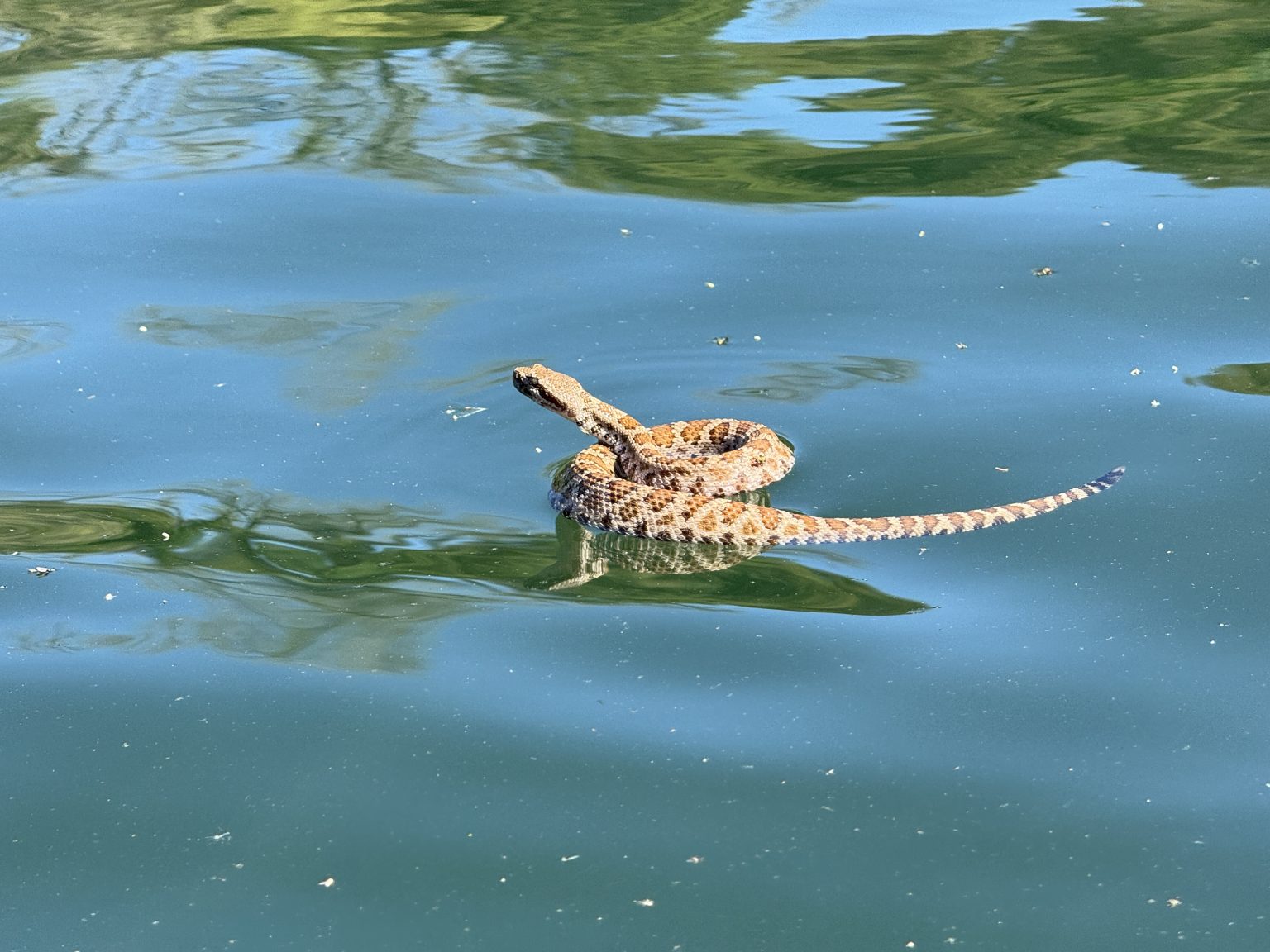 Lake Natoma In Folsom, California - Complete Adventure Guide – MK Library