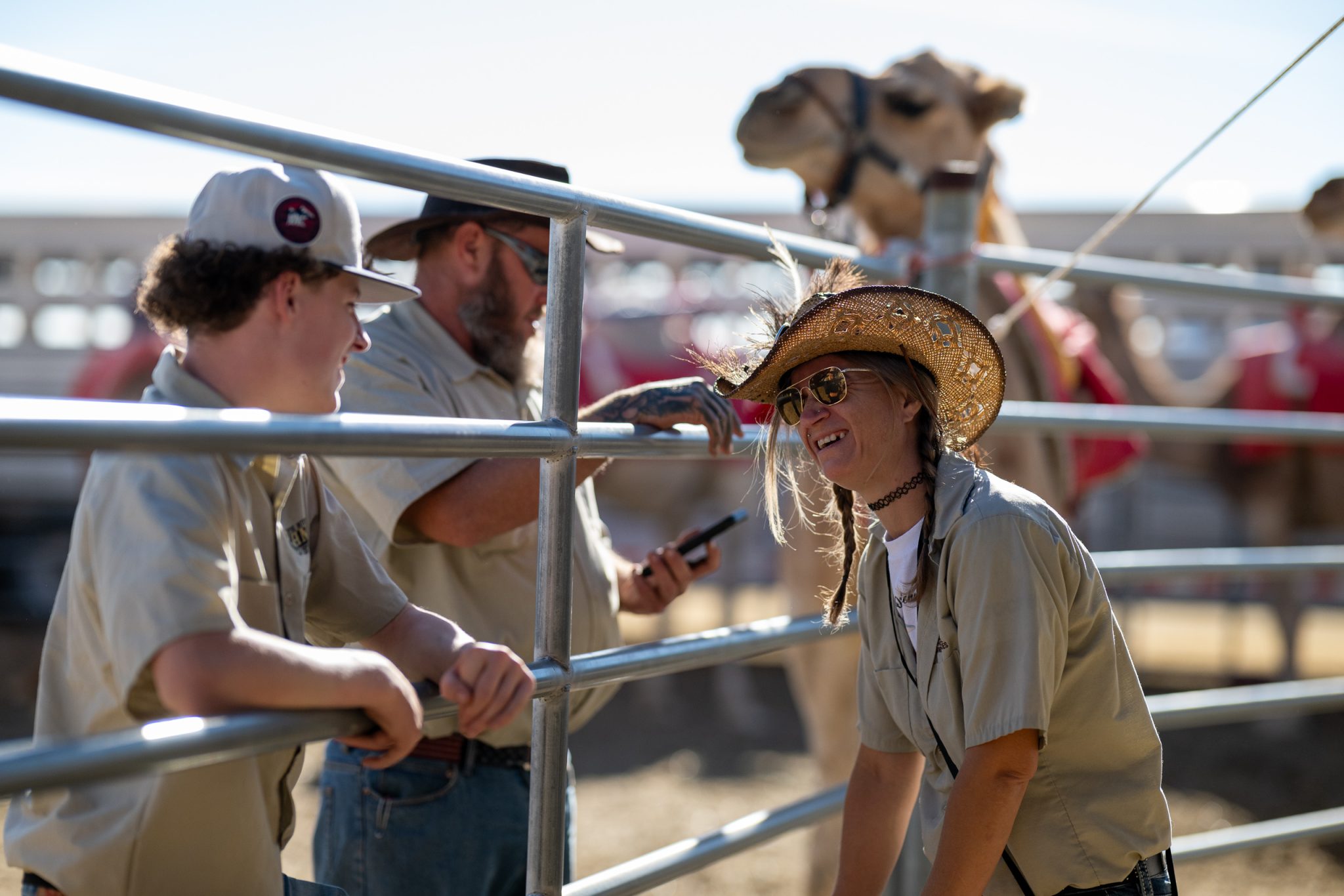 The Camel Races In Virginia City: Learning How To Race Camels And ...