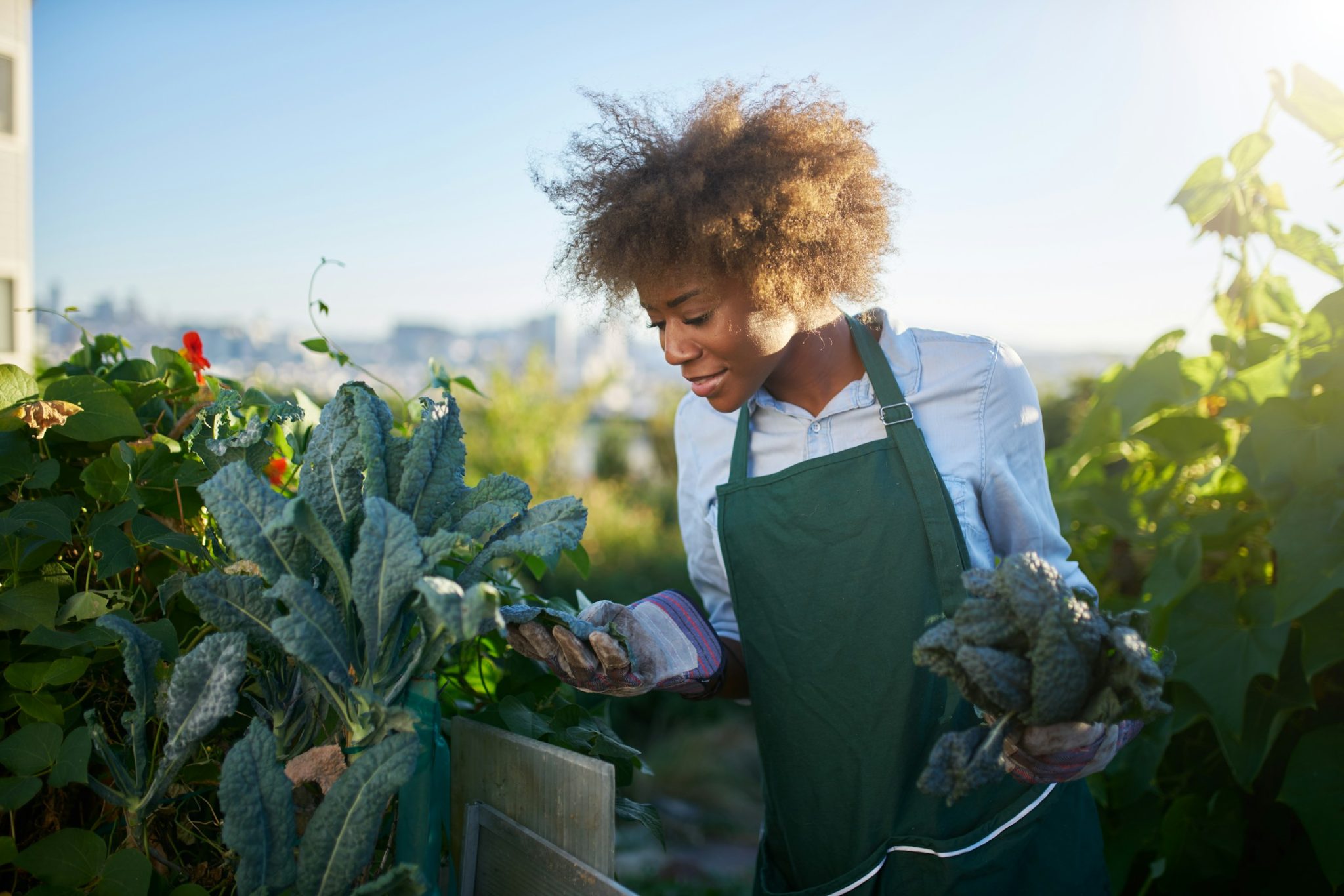 10 Types Of Hobbies You Never Knew You Needed – MK Library