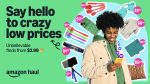 Amazon Haul: A Comprehensive Guide To Amazon’s Ultra-Low-Cost Shopping ...